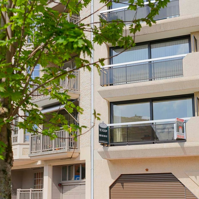 Over Zibber: ontdek alles over ons als specialisten van vastgoedmedia ...